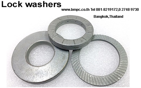 แหวนจานกันคลาย, แหวนจานโค้งมีฟัน, Ribbed lock washer, Serrated Washers ...